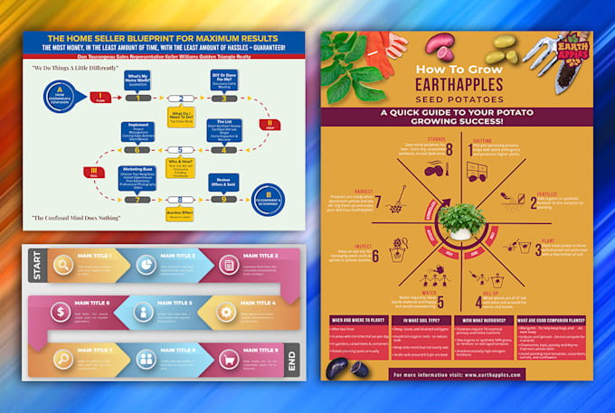 Create an extraordinary infographic for amazon or instagram by ...