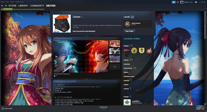 Erstellen sie eine benutzerdefinierte steam-profilseite für sie