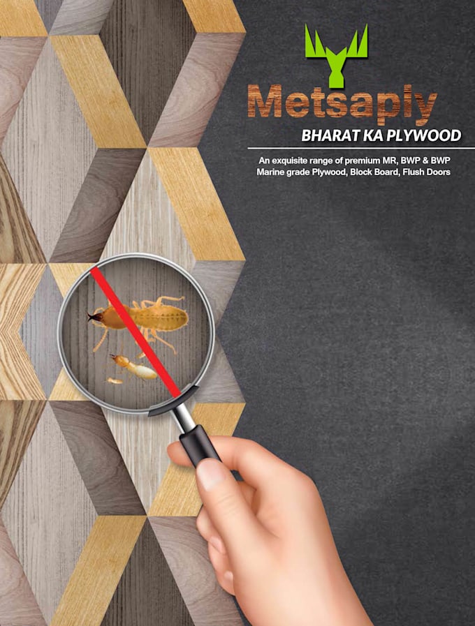 Design professional brochure and flyers within 24 hours by Balasudha ...