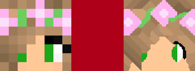 Make your minecraft skins face hd by Irishbirbclokky | Fiverr