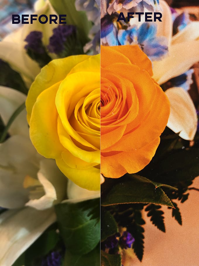 Edit the perfect aesthetically pleasing instagram picture by Justmaggie ...