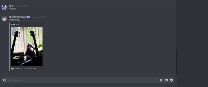 Make A Discordjs Bot By Keemstargfx Fiverr