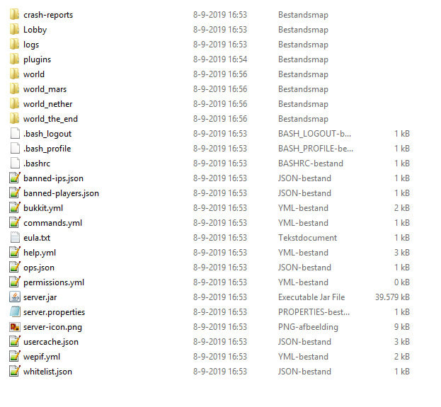 Set up your bukkit server, minecraft by Streepje8 | Fiverr