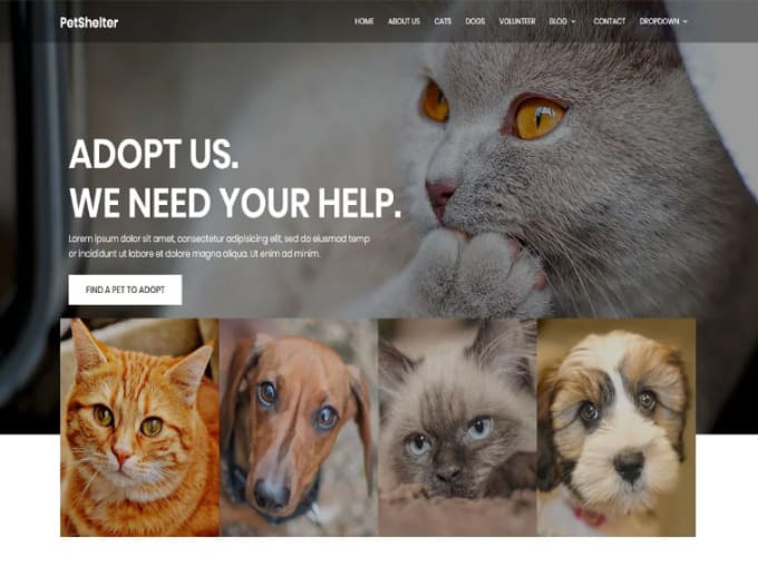 Fix bugs or errors in html,css, bootstrap,php, mysql, javascript ...