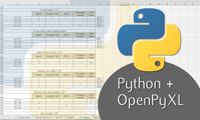Do excel processing in python by Ishaqkn | Fiverr