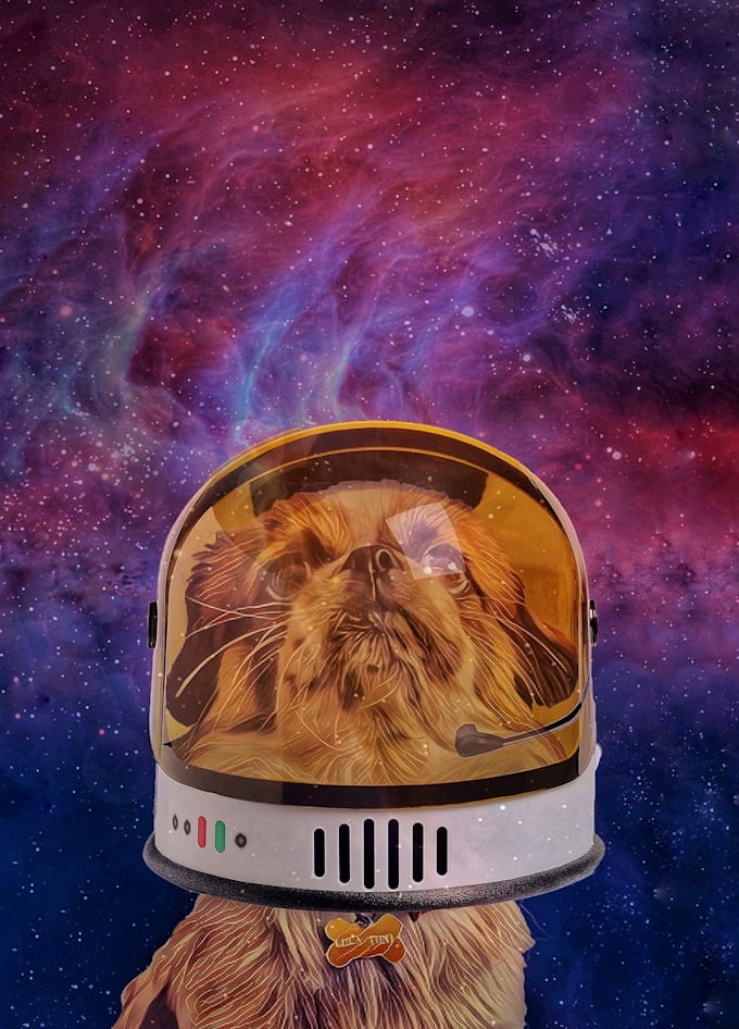 Create an animated poster for social media by Andysantiago1 | Fiverr