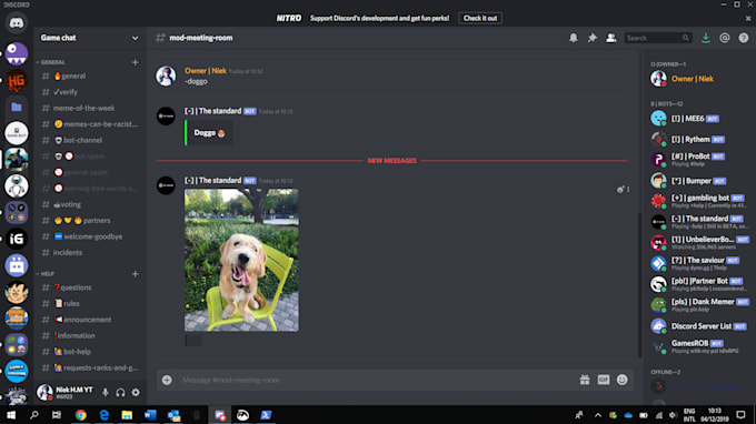 Make a discord bot in java by Niekhm | Fiverr