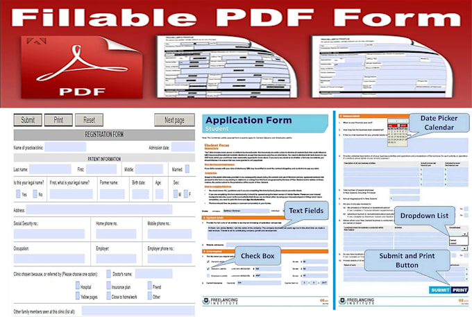 Create fillable pdf or design pdf form by Saqib_sk | Fiverr