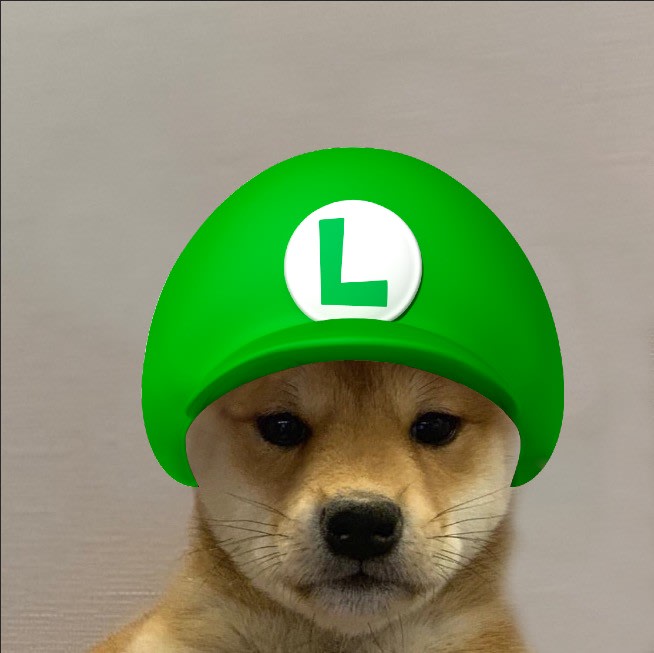 Make you a dogwifhat pfp by Xtremehazard67d | Fiverr