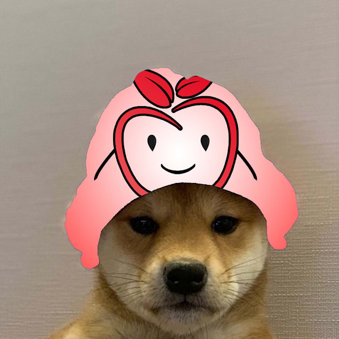 Edit a picture on dogwifhat by Timmyishere | Fiverr