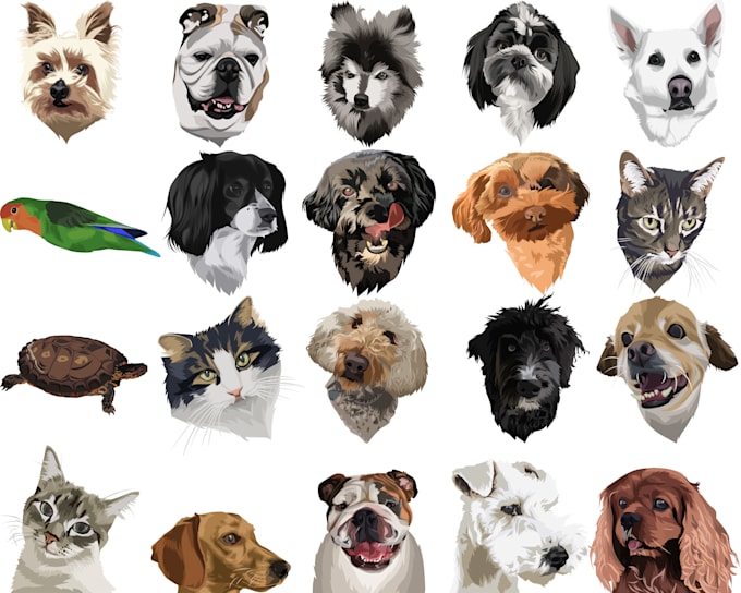 Make your pet photo in high quality vector cartoon by Rezart24 | Fiverr
