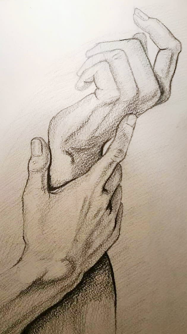 Hand draw the human anatomy by Drawdiana | Fiverr