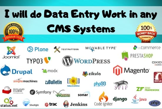 Do honest quick cms and any type of wordpress data entry by Blogexp ...