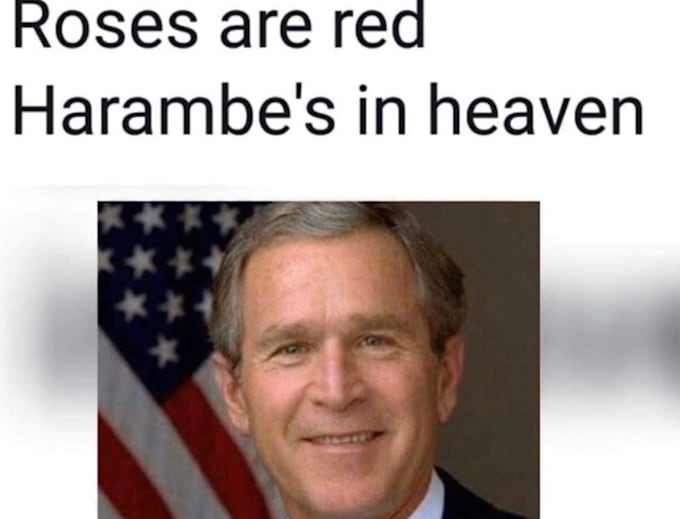 Very good dank memes 4 u by Dozaaaaaaaaa | Fiverr