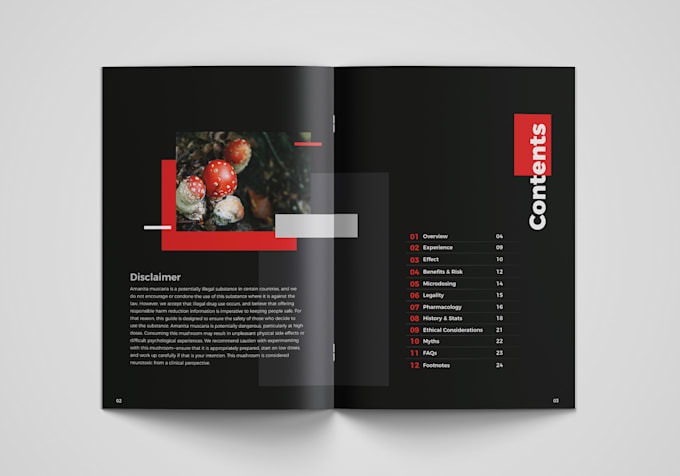 Design booklet, user guide, instruction manual, and pdf by Chloestudio4 ...