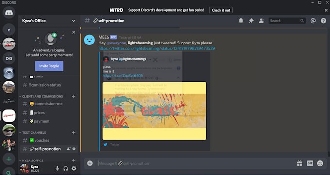 Make you your dream discord server by Kyzafx | Fiverr