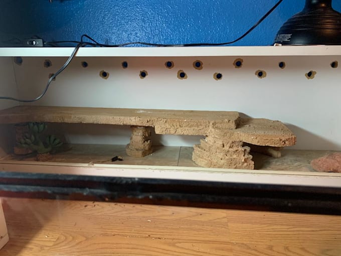 Make custom reptile hides for enclosures by Chrisandceleste | Fiverr