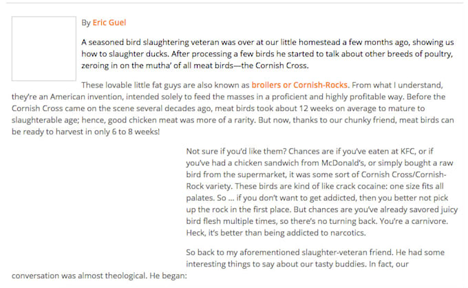 Write an engaging article for you by Ericguel | Fiverr