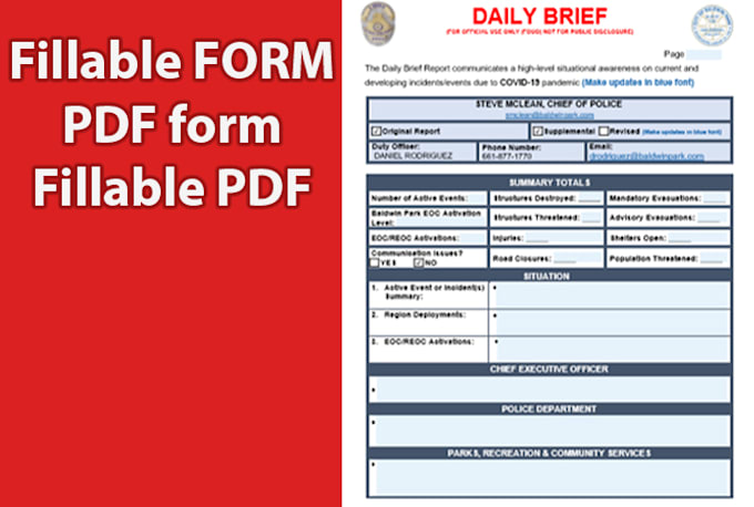 Create a fillable pdf form, interactive pdf form by Atchakma | Fiverr