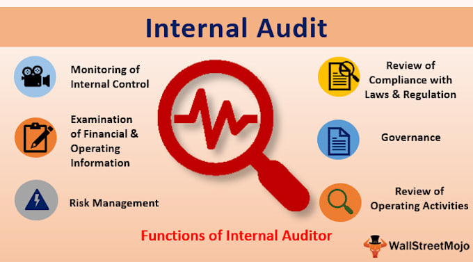 Perform internal audit risk assessment by Adisindhu | Fiverr