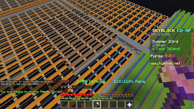 Help you in minecraft hypixel skyblock by Marvin12345678 | Fiverr