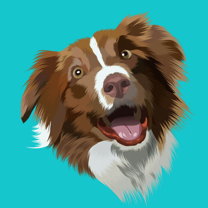 Draw your pet into vector art cartoon by Oksanprayudi | Fiverr Draw your pet into vector art cartoon by Oksanprayudi | Fiverr