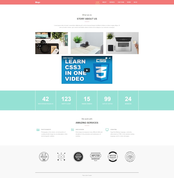 Make you an elegant website within 24 hours in html and css by ...