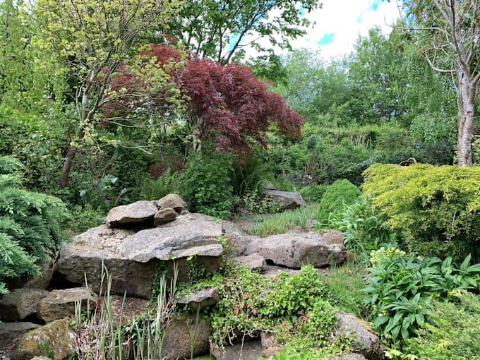 Design a real garden and bring to life your ideas by Arealgardener | Fiverr