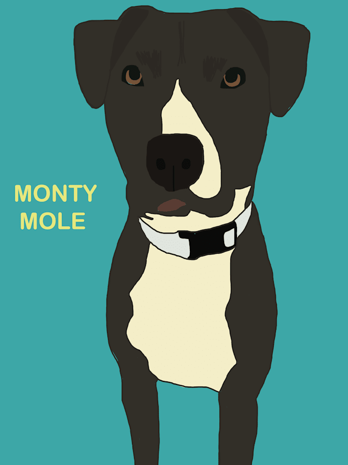 Provide a simple drawing of an already existing picture by Phoebenader ...