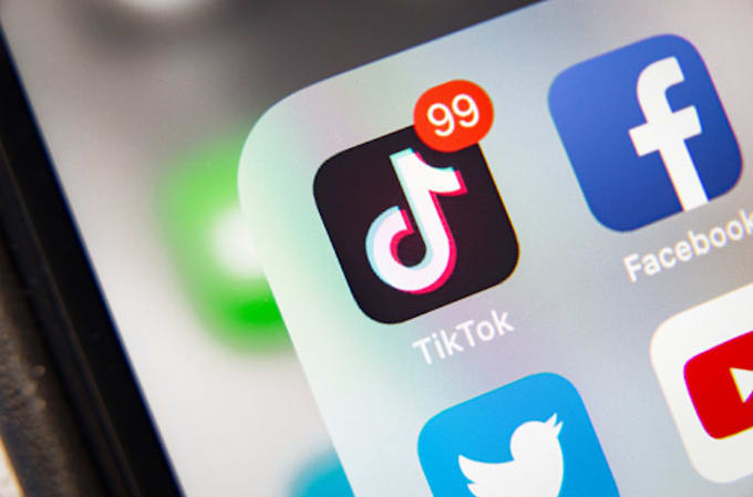 Drive traffic to your tik tok with audience and promote your tik tok by ...