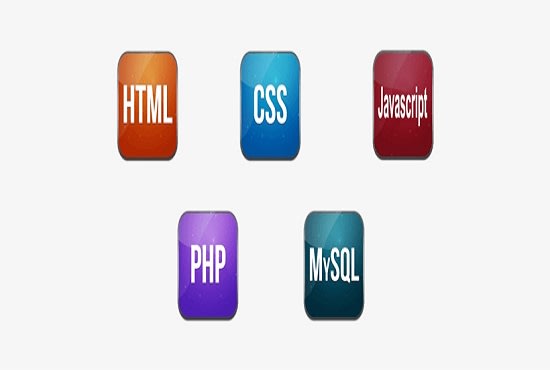 Do Custom Css Html Javascript Php Coding By Protechno Fiverr