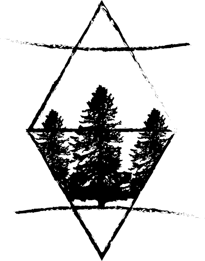 Convert pixel files to vector grafics by Manuel_ebner | Fiverr