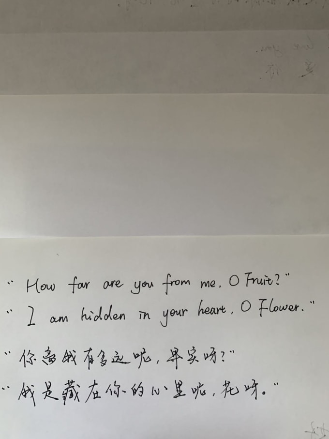 Handwriting of beautiful chinese characters for you by Alan1026 | Fiverr