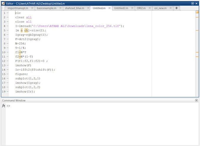 Solve your matlab and python tasks especially in image processing by ...