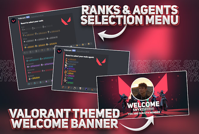 Setup your new valorant discord server by Snyxz_ | Fiverr