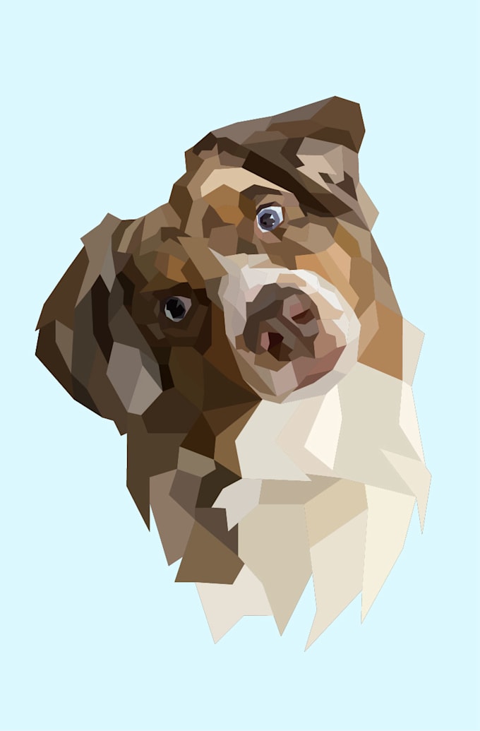 Create a polygon tracing for you by Silverfox112 | Fiverr