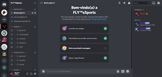 Make for you the best discord professionally set up with best design by ...