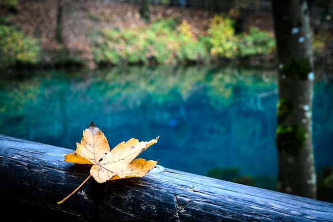 Rework and edit youre photos and make them perfect by Lukaspridix | Fiverr