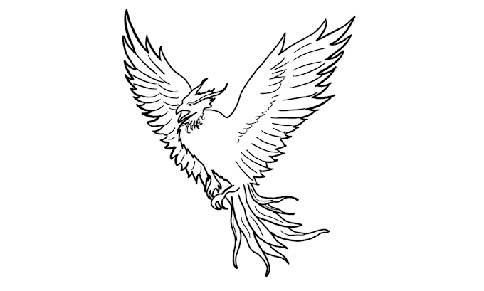 Create any line art by Dsm_graphic | Fiverr