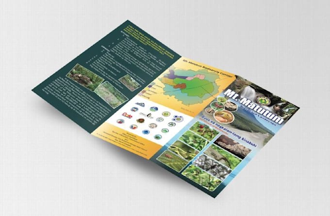 Do any adobe indesign project for your business by Indesignninja | Fiverr