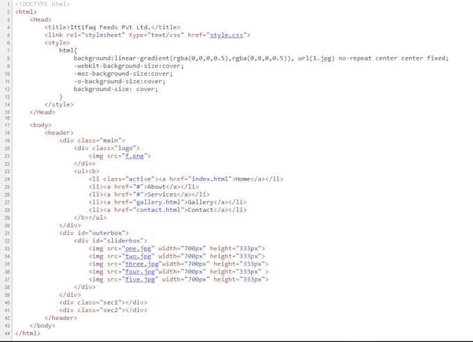 Make A Simple Website For You Using Html Css And Javascript By