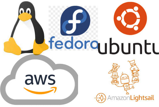 Install, setup and fix aws, ssl, wordpress,ec2, cpanel, s3 other aws services by Prabuganesh006 ...