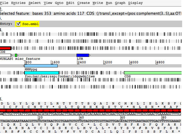 Do bioinformatics bacterial genome analysis using artemis by Zahra_hassan | Fiverr