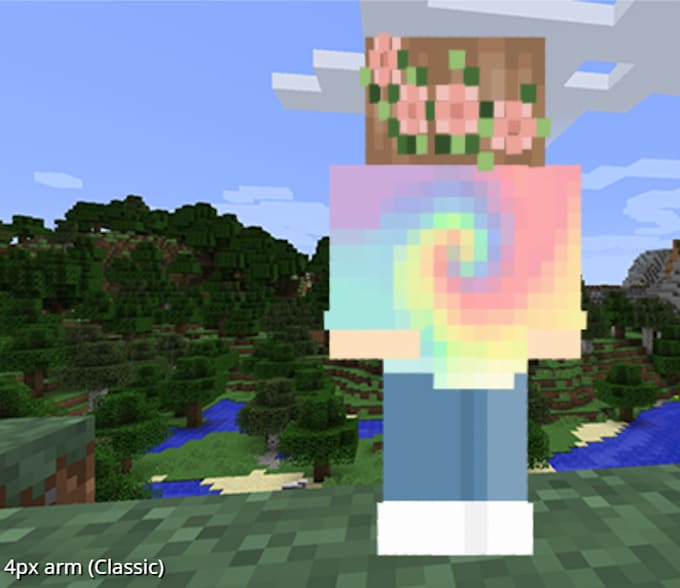 Create a custom minecraft skin on skindex by Cjunecko | Fiverr