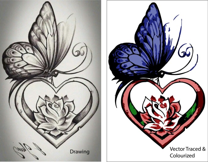 Vector trace your hand drawings, blurred images by Nfernando95 | Fiverr