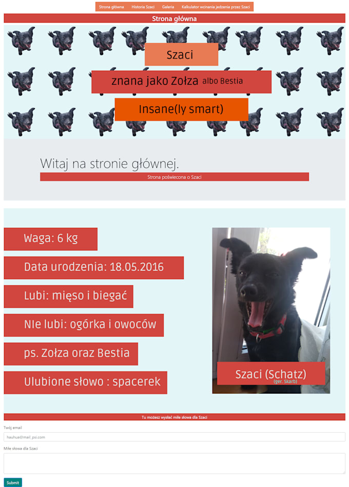 Create simple website with html and css by Sleyrz | Fiverr