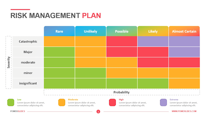 Make risk management plan of your project by Tayyabraja13 | Fiverr