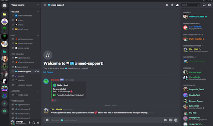 Make you your dream discord server by Evilbinjitzu | Fiverr