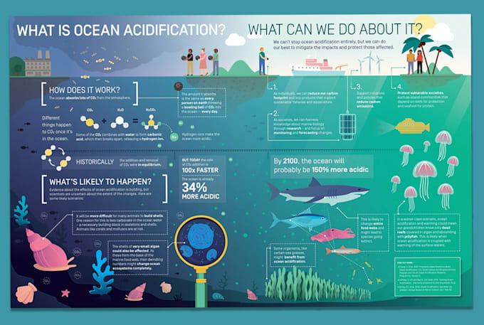 Design creative infographic banners, posters and flyers by ...