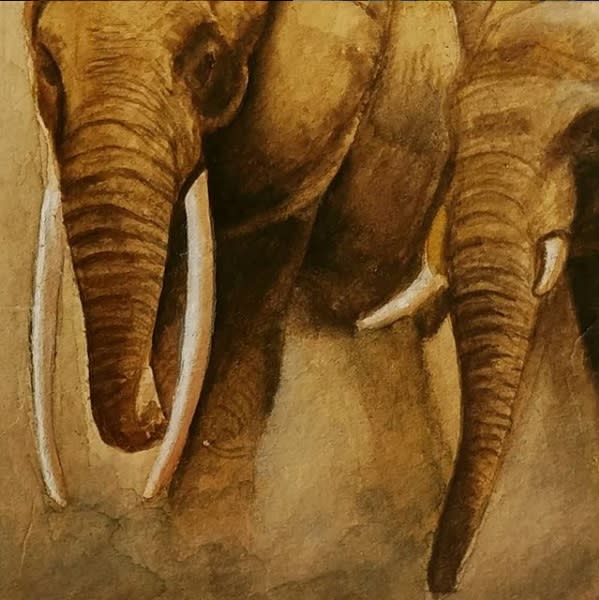 Design eye catching art for you by Sarotheartist | Fiverr